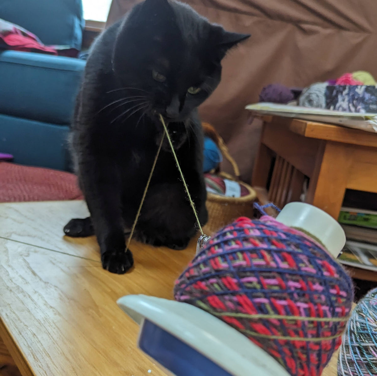 Tips for Making Your Knitting Life Even More Fun — String Theory Yarn Co