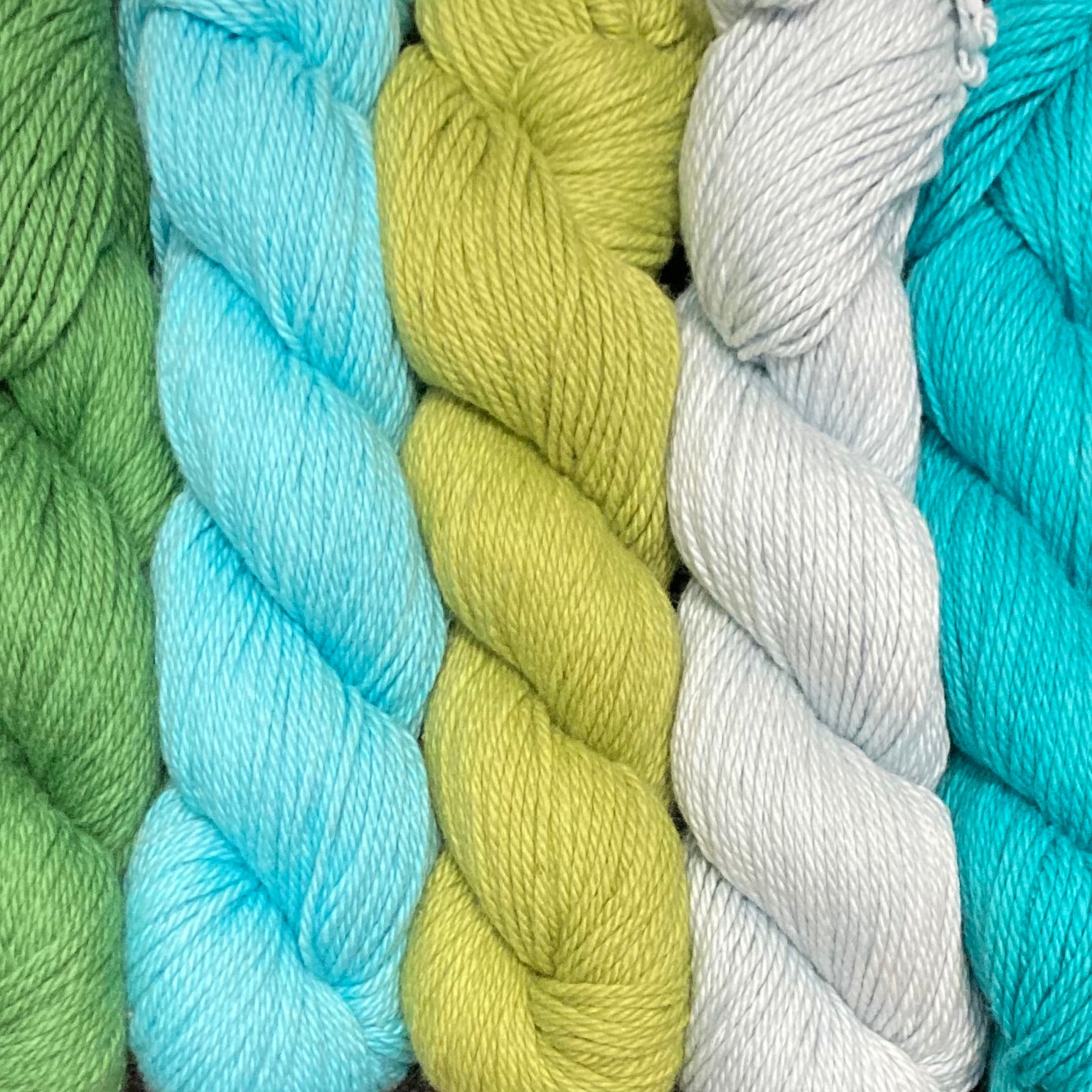 Worsted Weight Yarns (for Knitting) — String Theory Yarn Co